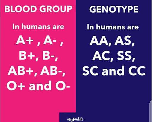 Difference Between Blood Group And Genotype - Pharmawise