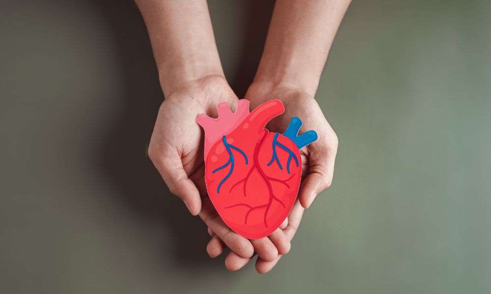 How to Strengthen Your Heart with Simple Lifestyle Changes