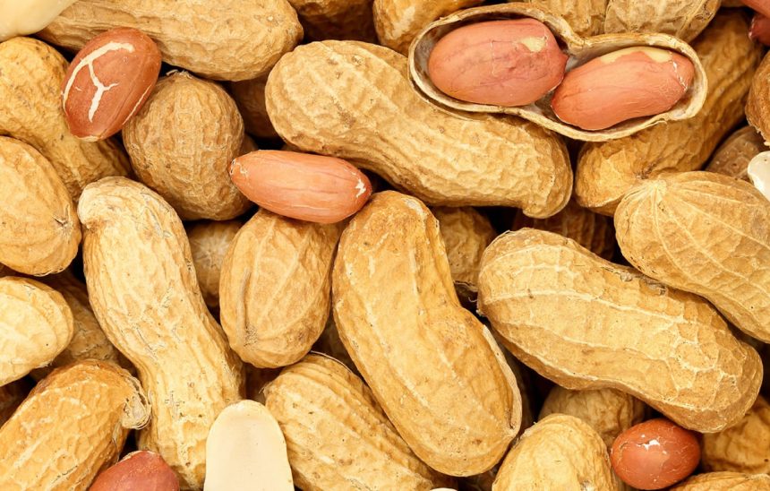 The Health Benefits of Peanuts